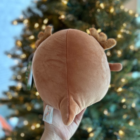Squishmallows | Toys | Nwt Den 8 The Axolotl Gingerbread Squishmallow ...